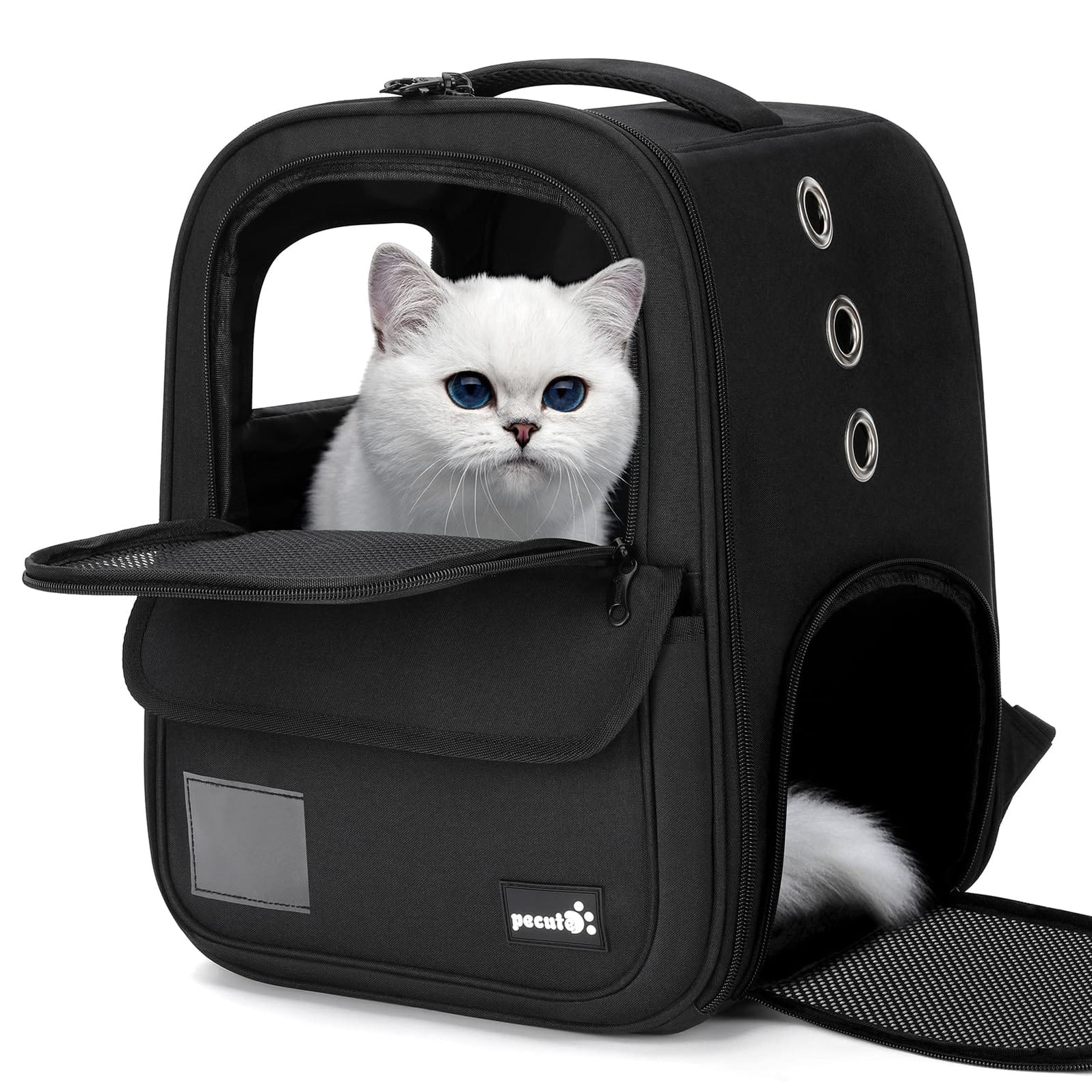 Pet Backpacks & Dog carriers | Pecute