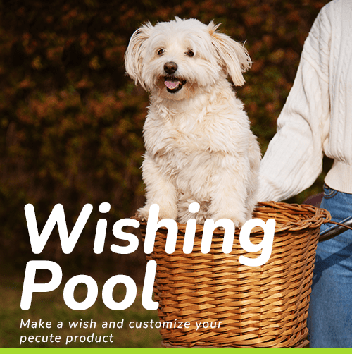 Wishing Pool